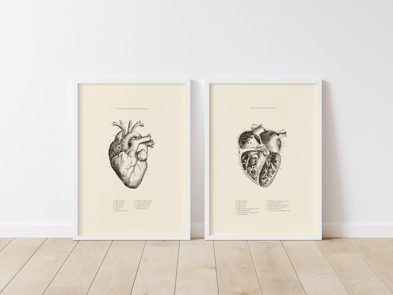 Anatomical Heart Print Printable Wall Art Heart Wall Art Vintage ...