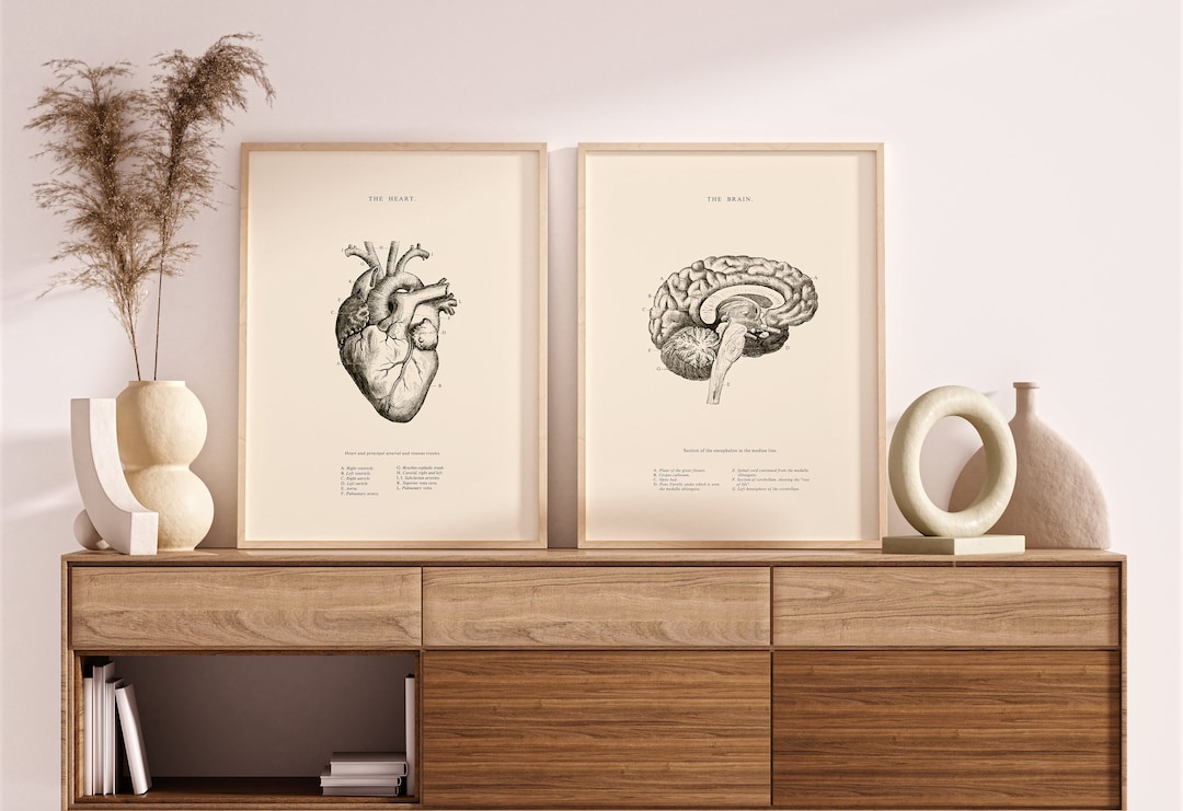 Vintage Anatomy Print Set: Heart & Brain Scientific Poster (digital ...