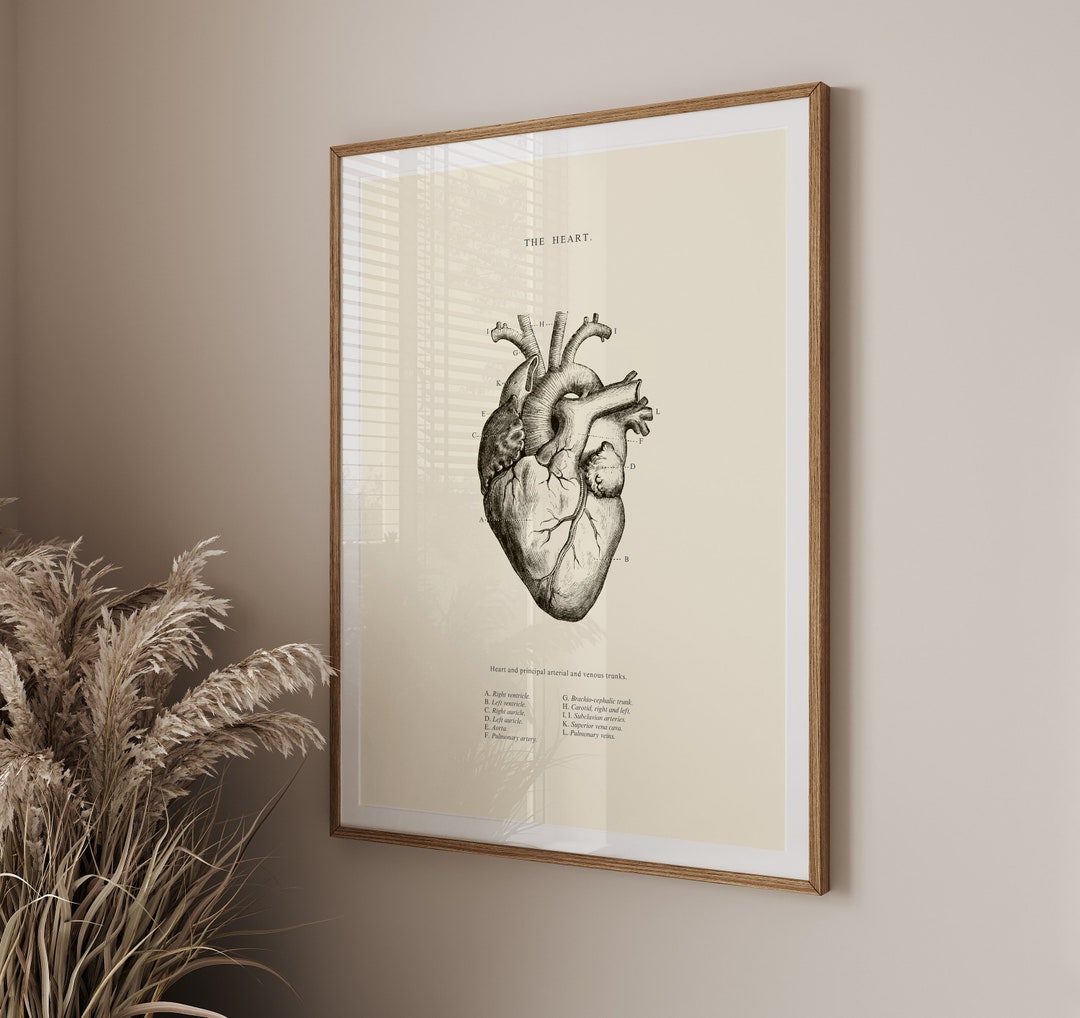 Anatomical Heart Print - Printable Wall Art - Heart Wall Art - Vintage ...