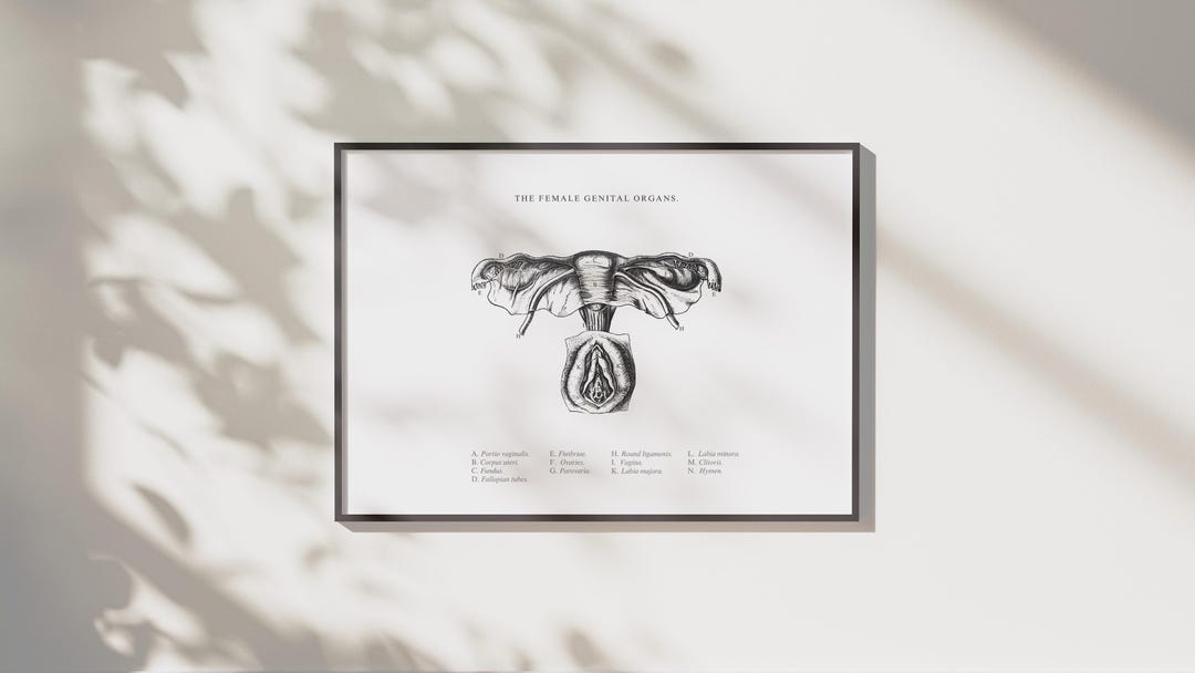 Female Anatomy Print - Printable Wall Art - Gynecology Wall Art ...