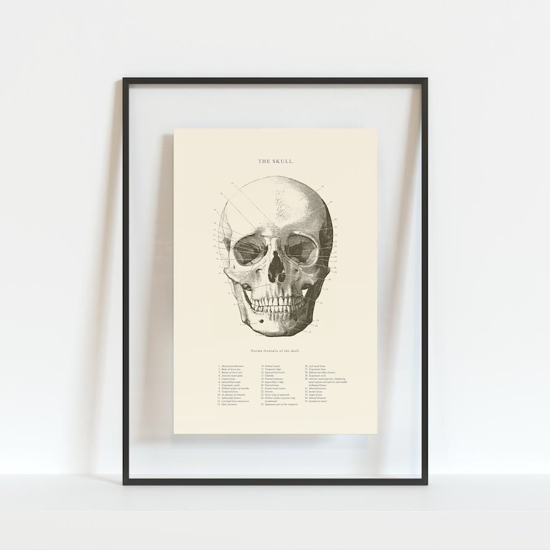 Skull Poster - Etsy