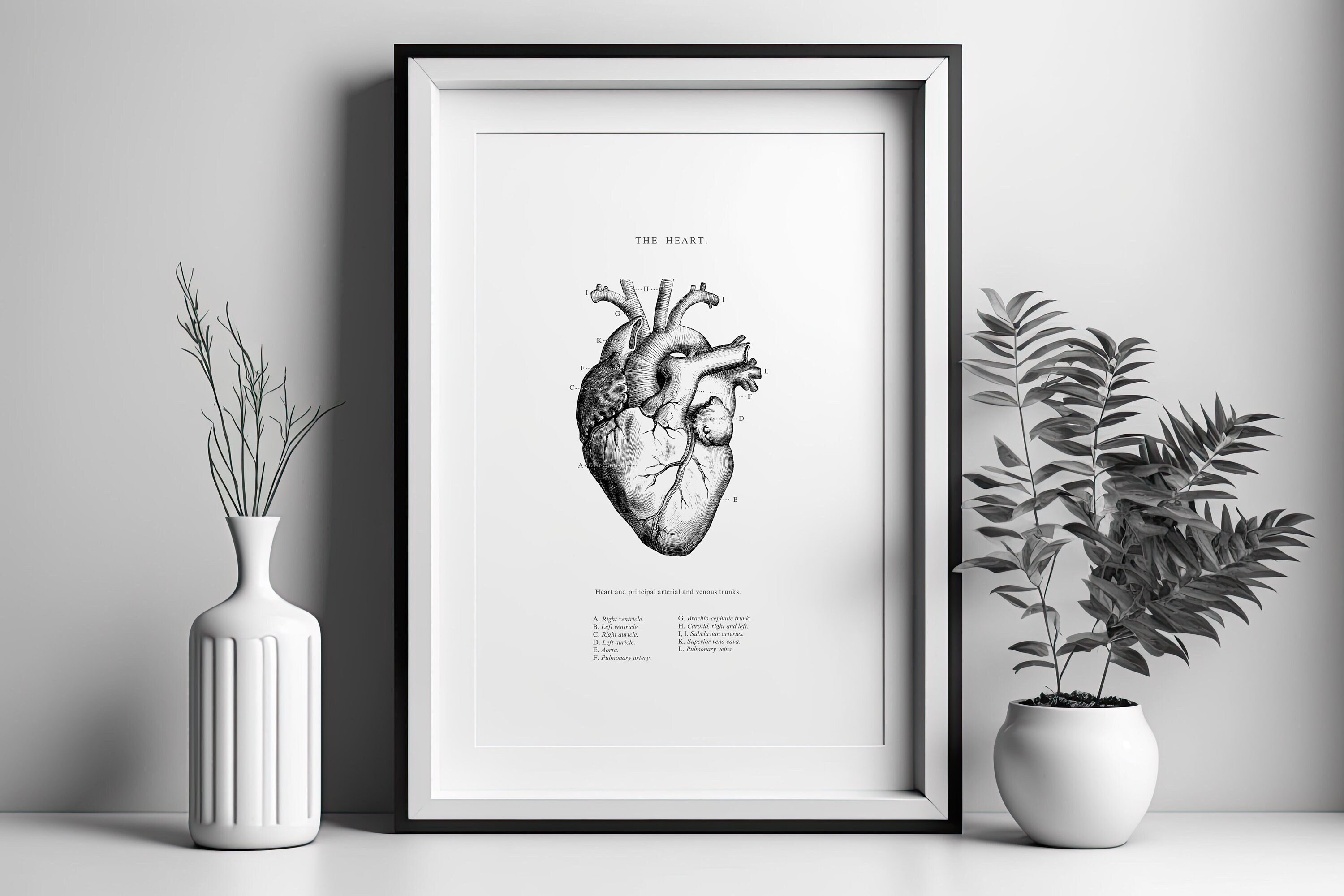 Anatomical Heart Print Printable Wall Art Heart Wall Art Vintage ...
