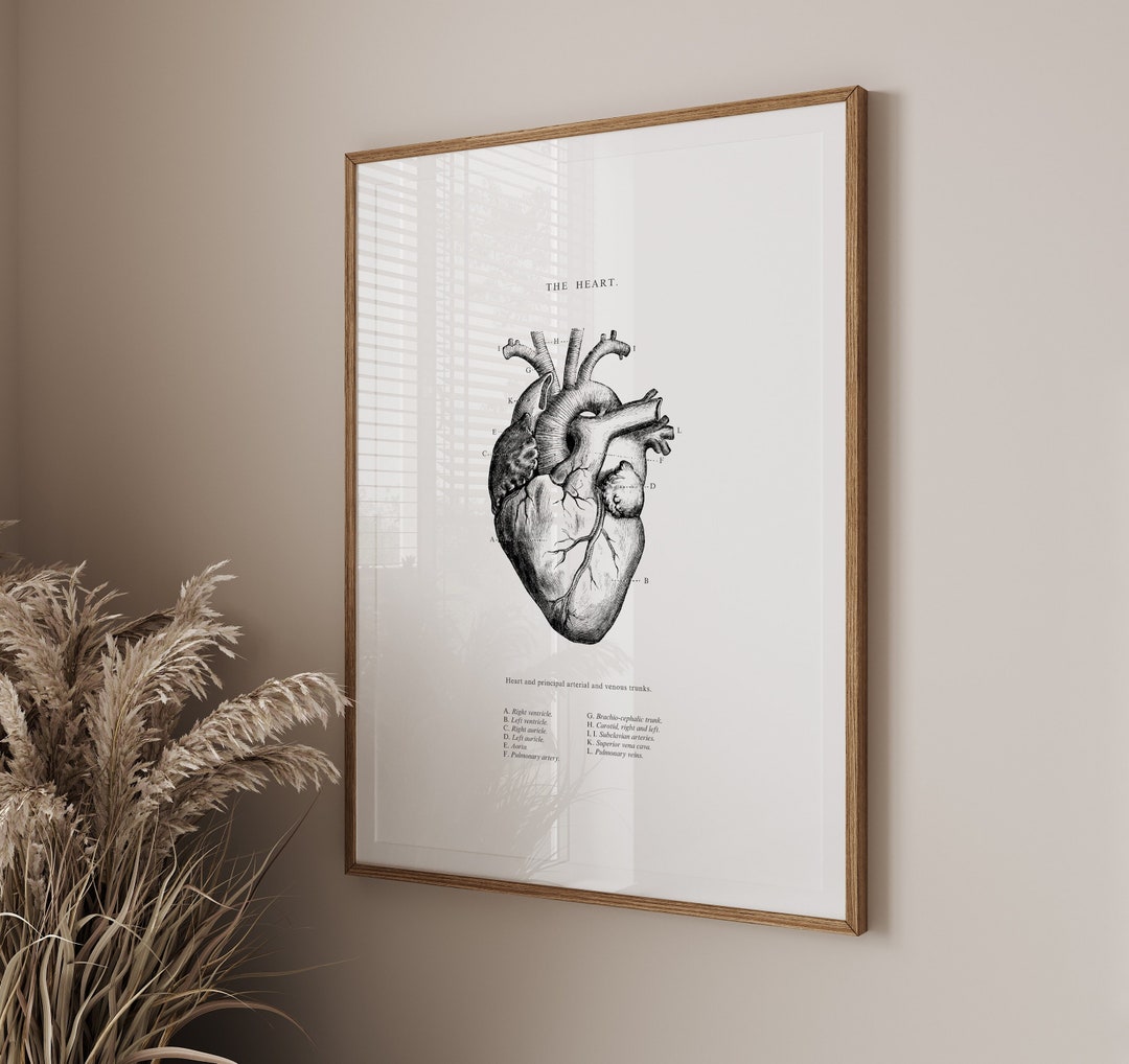 Anatomical Heart Print - Printable Wall Art - Heart Wall Art - Vintage ...