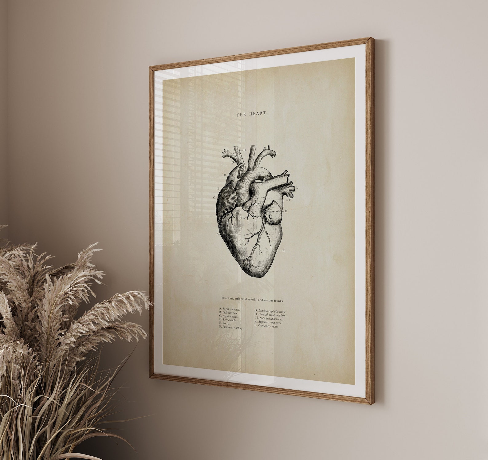Anatomical Heart Print - Printable Wall Art - Heart Wall Art - Vintage ...