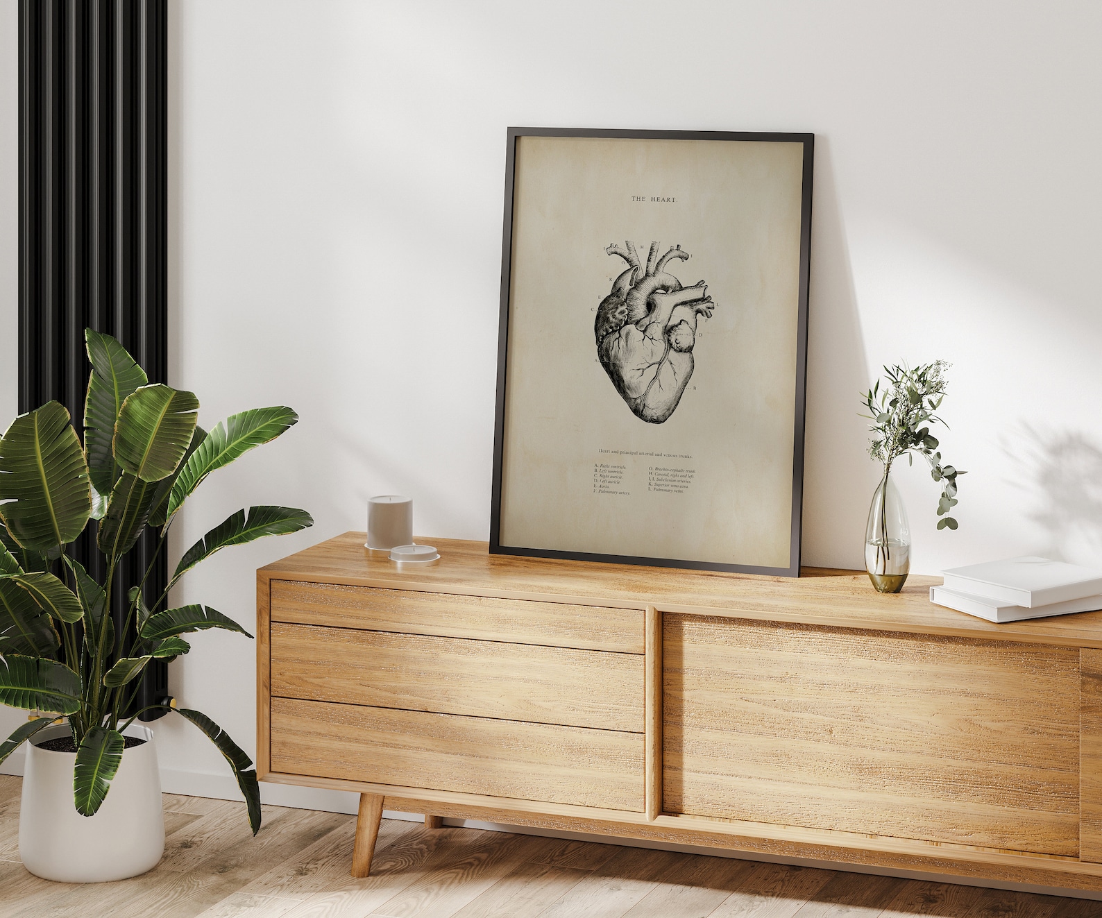 Anatomical Heart Print - Printable Wall Art - Heart Wall Art - Vintage ...