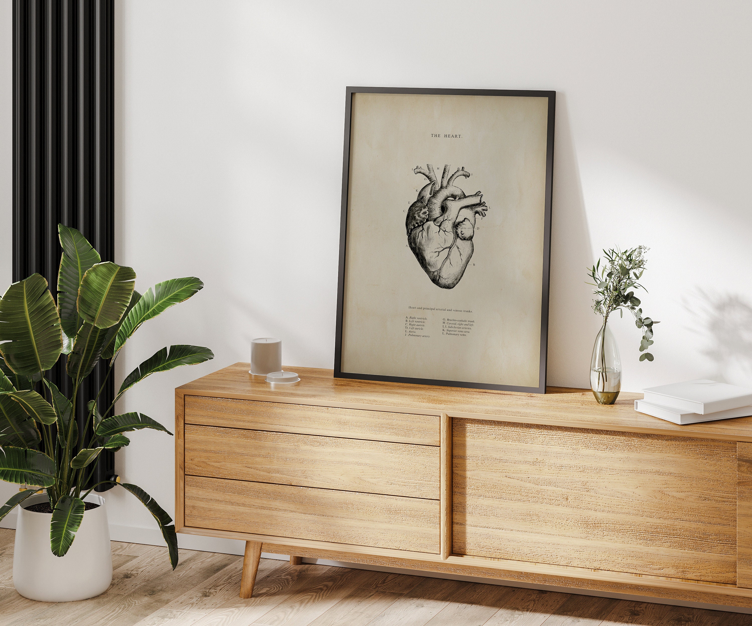 Anatomical Heart Print - Printable Wall Art - Heart Wall Art - Vintage ...
