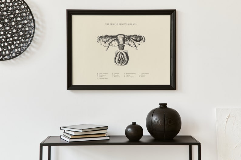Female Anatomy Print - Printable Wall Art - Gynecology Wall Art ...