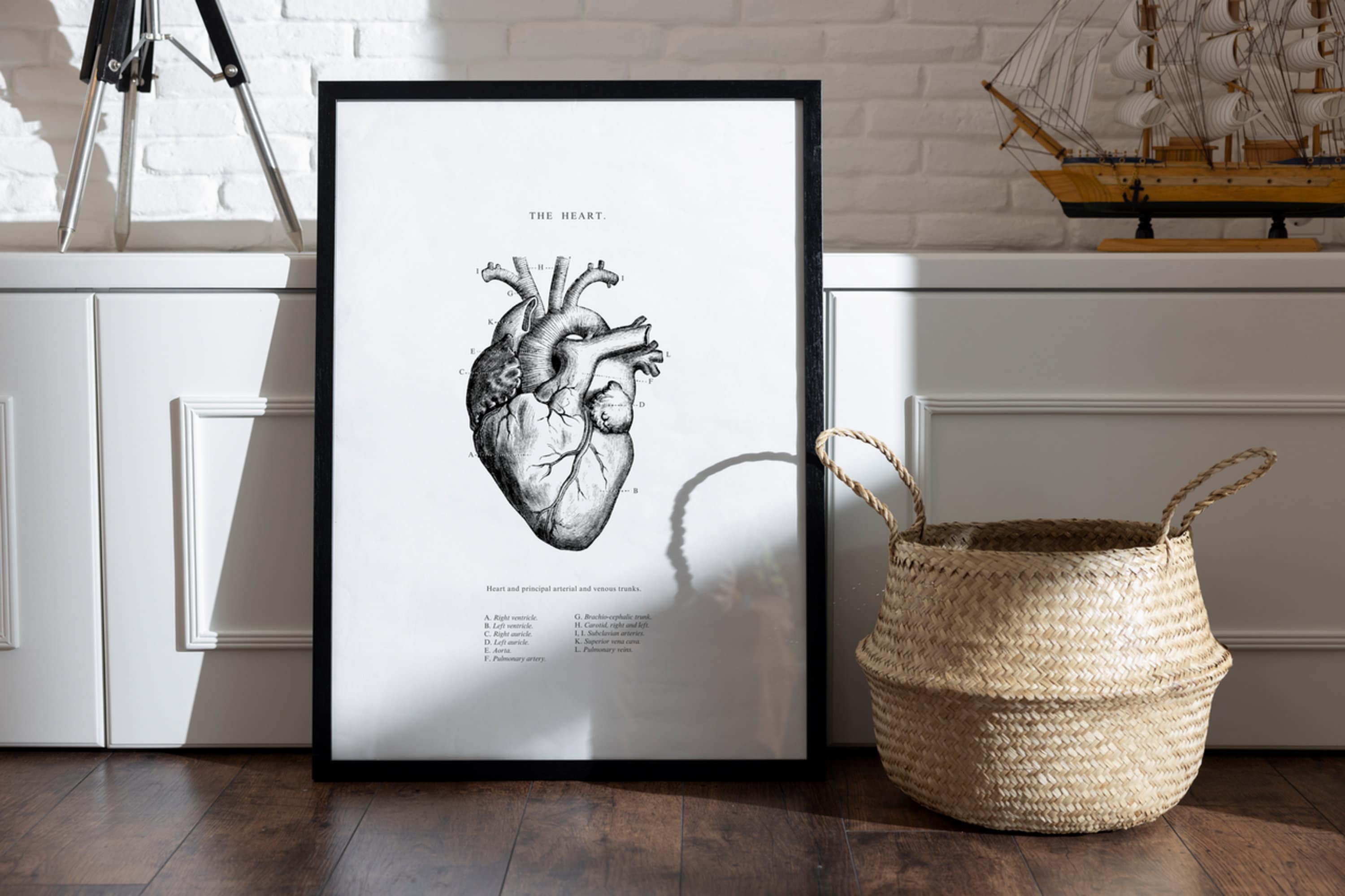 Vintage Anatomical Heart Print: Black & White Scientific Poster ...