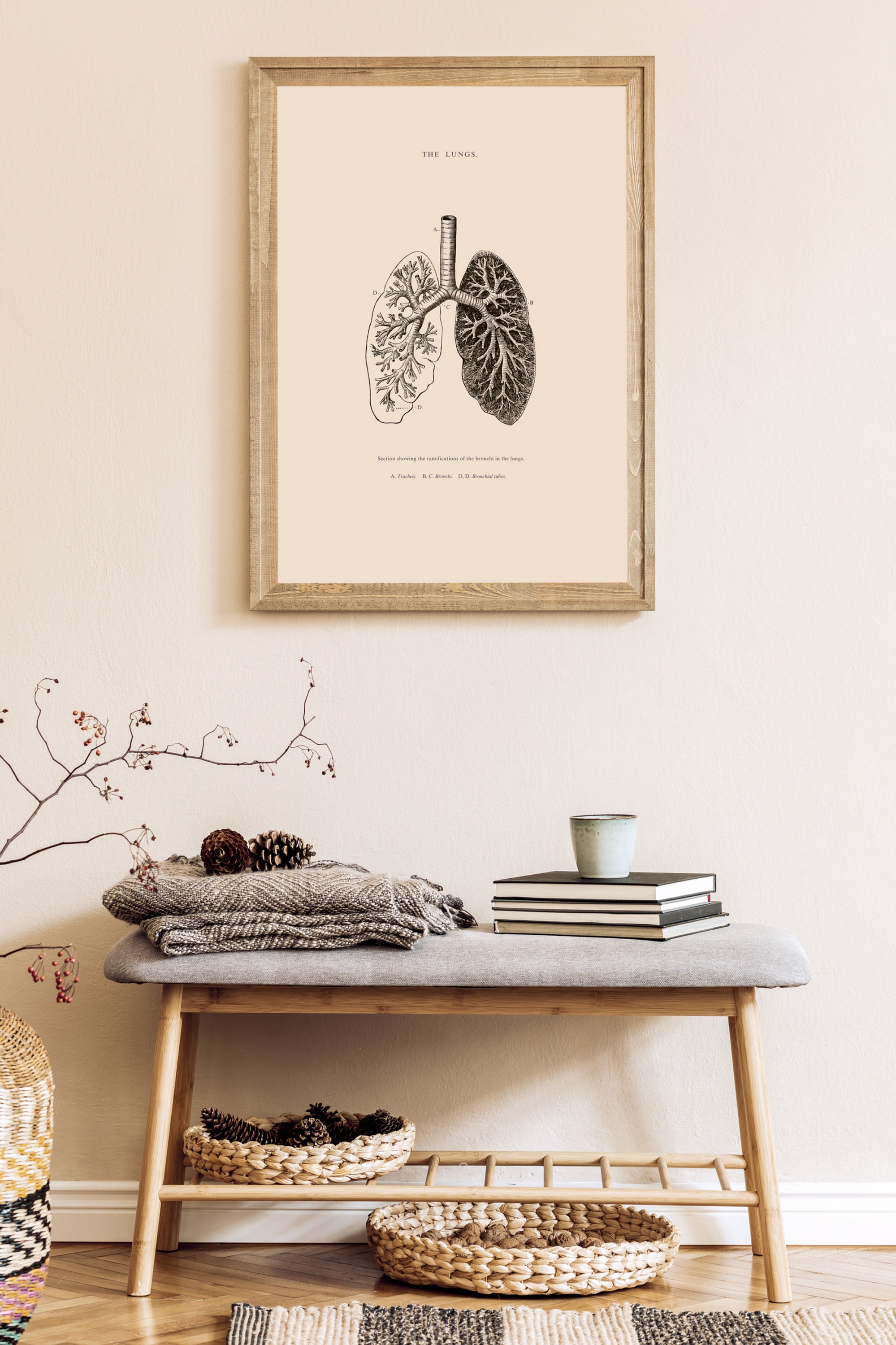 Human Lungs Printable Human Anatomy Wall Art Vintage Anatomy Black ...