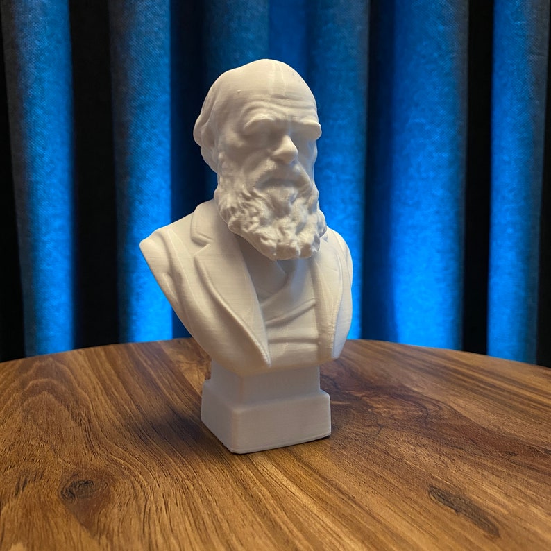 Charles Darwin Bust 13cm Theory of Evolution Decorative Figure - Etsy