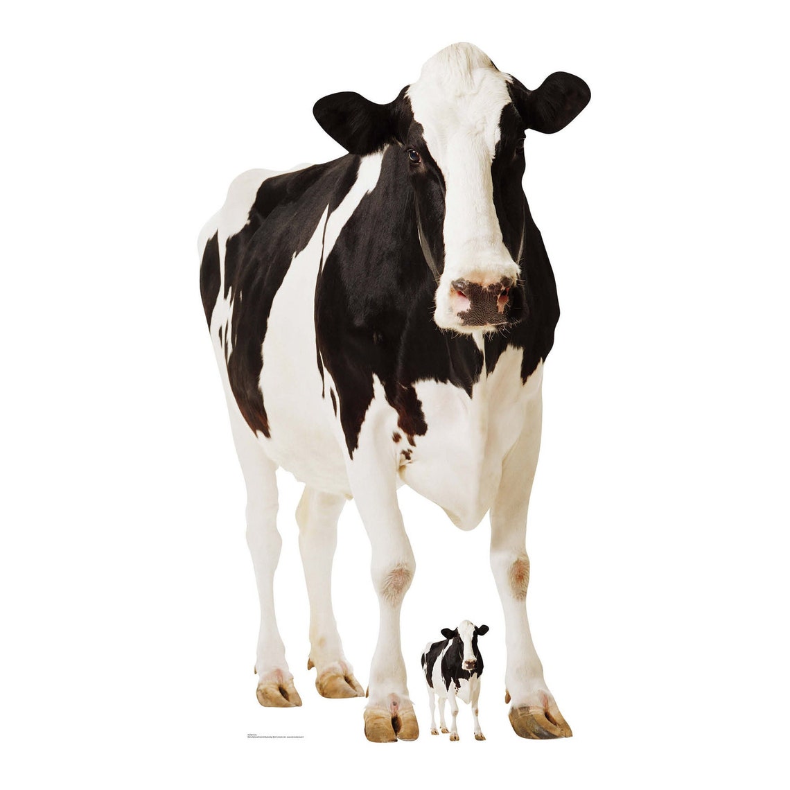 Cow Cardboard Cutout Animal Themed Standee Party Prop Measuring 165cm X ...