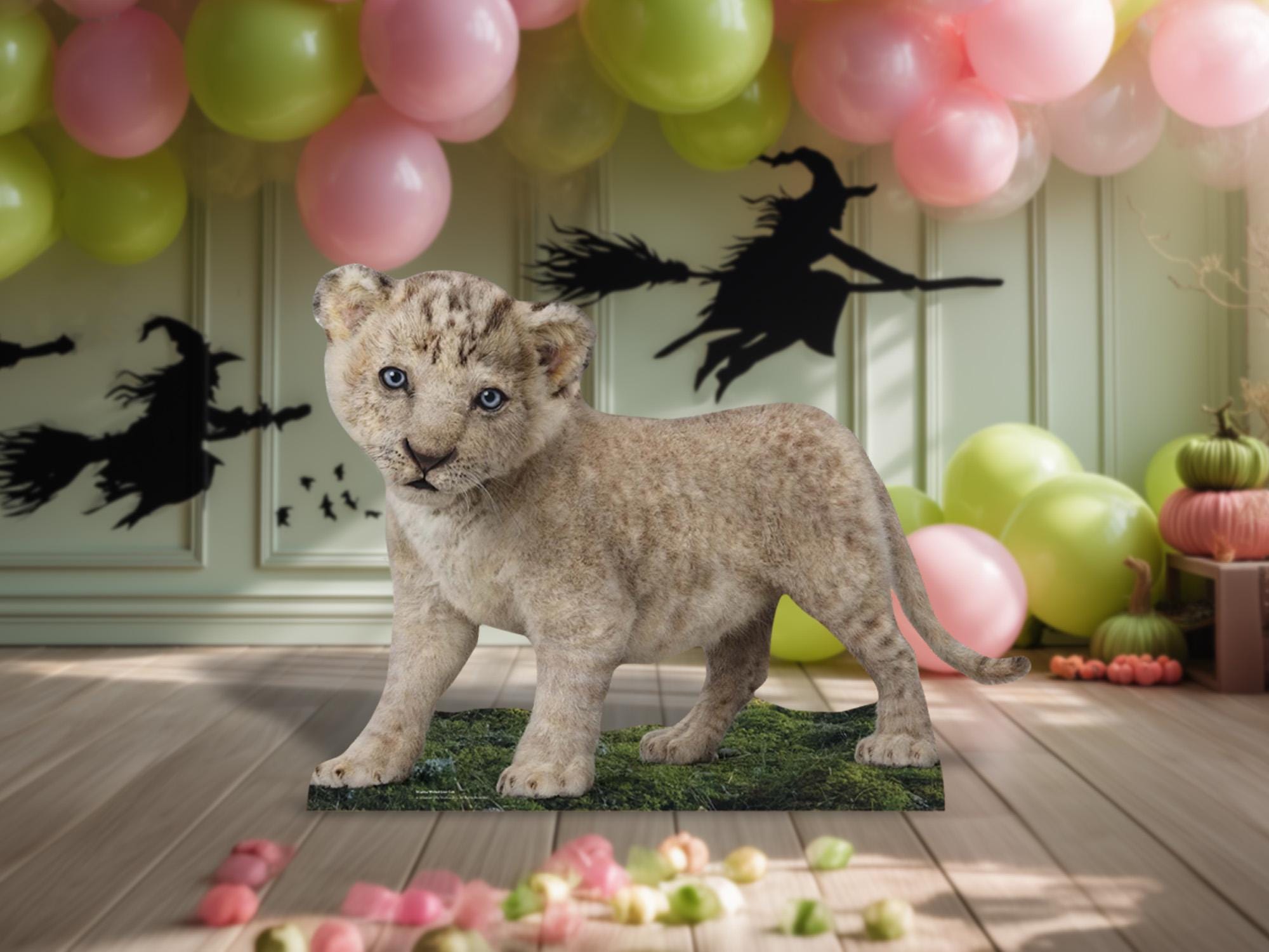 Wicked Cardboard Cutouts Official Licensed Standees Decorations Party ...