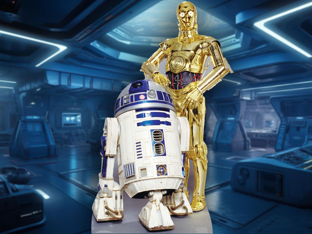 The Droids Cardboard Cutout Official Lifesize Star Wars Decoration ...