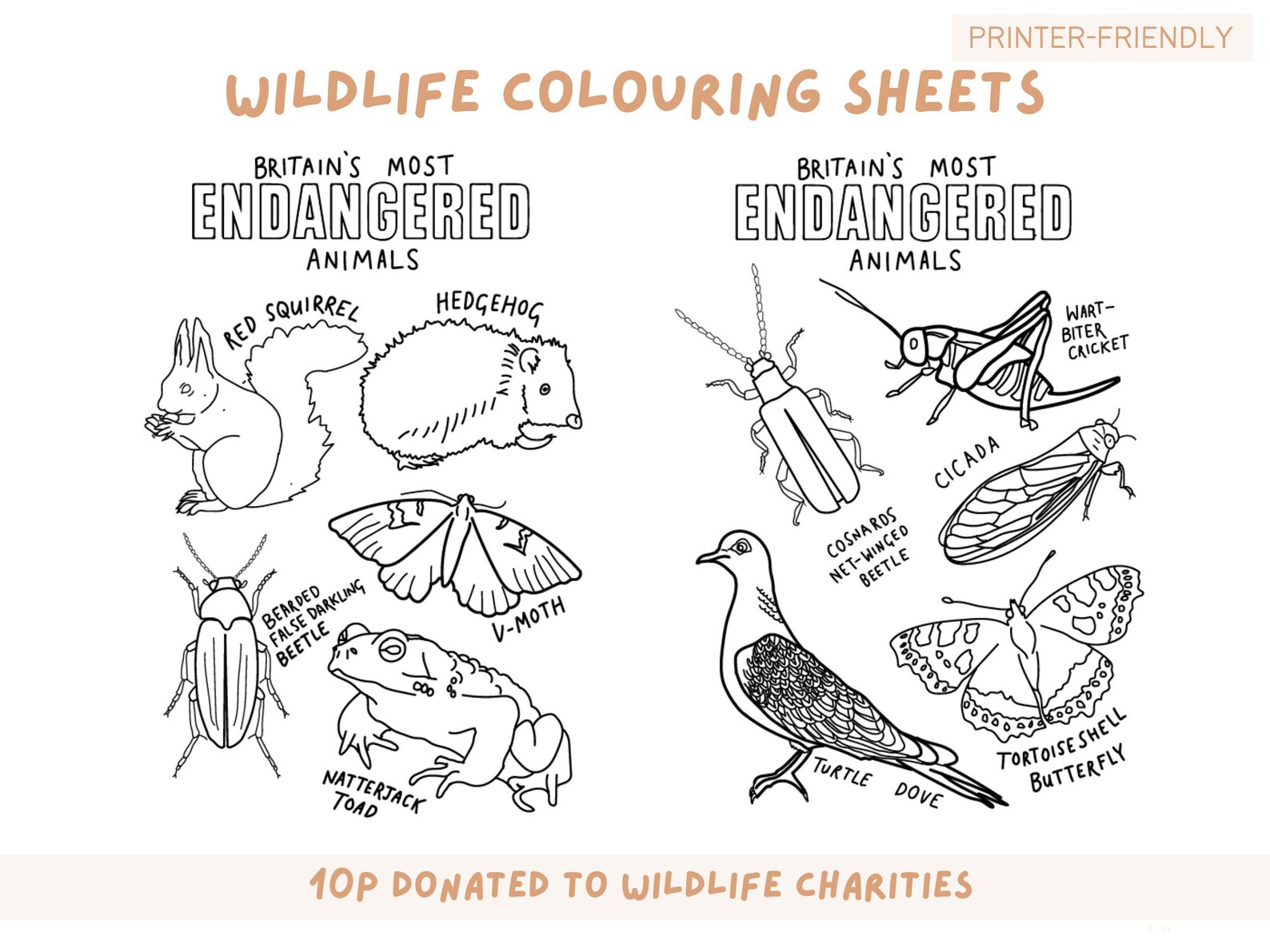 Wildlife Colouring Sheets Printable - 2 A4 Colouring Sheets - Britian's ...