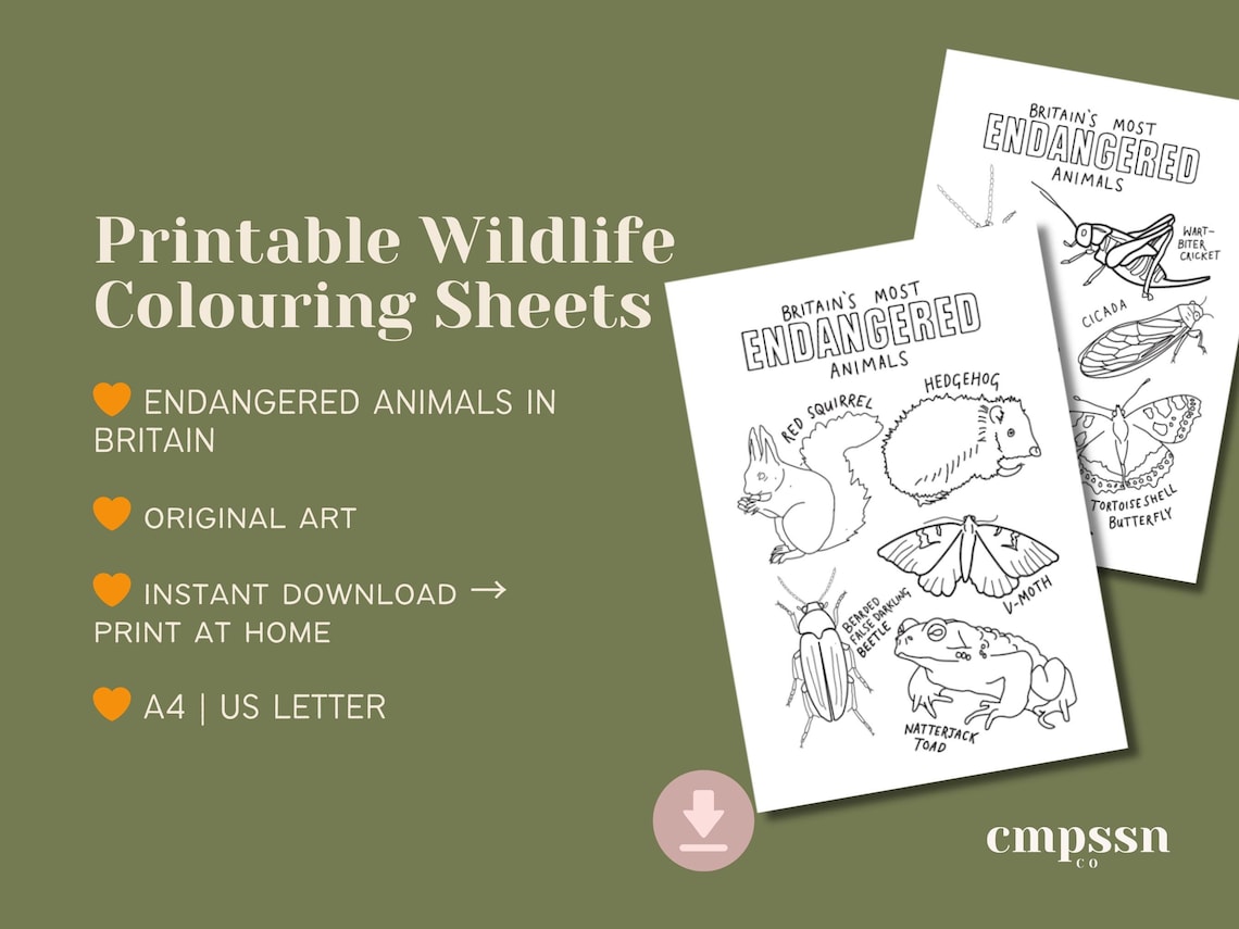 Wildlife Colouring Sheets Printable - 2 A4 Colouring Sheets - Britian's ...