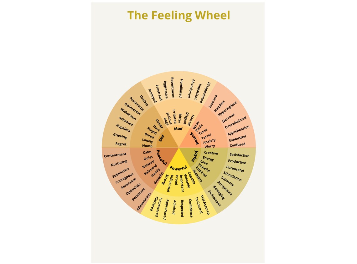 Feeling Wheel Poster, Colorful Design Counselling Room Decor, Emotional ...