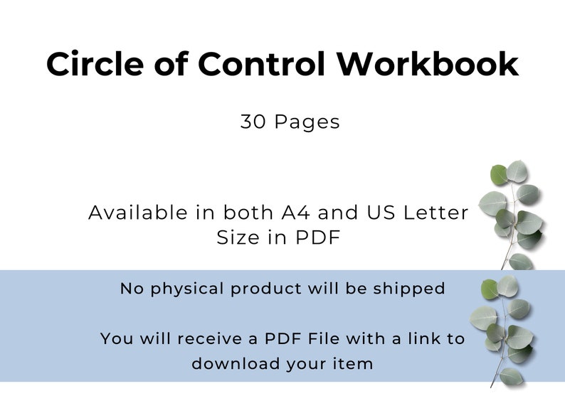Circle of Control Workbook, Coping Skills for Emotional Regulation, PDF ...