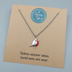 Hand-painted Red Robin Necklace. A Tibetan Silver Charm on an ...