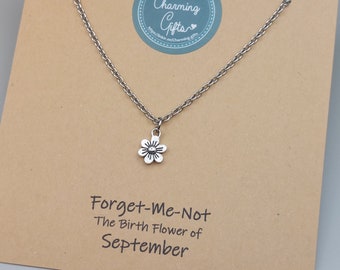 Hand-painted Red Robin Necklace. A Tibetan Silver Charm on an ...