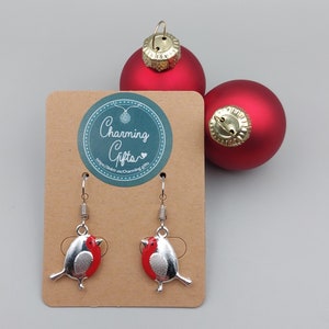 Hand-painted Red Robin Necklace. A Tibetan Silver Charm on an ...