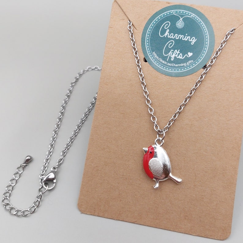 Hand-painted Red Robin Necklace. A Tibetan Silver Charm on an ...