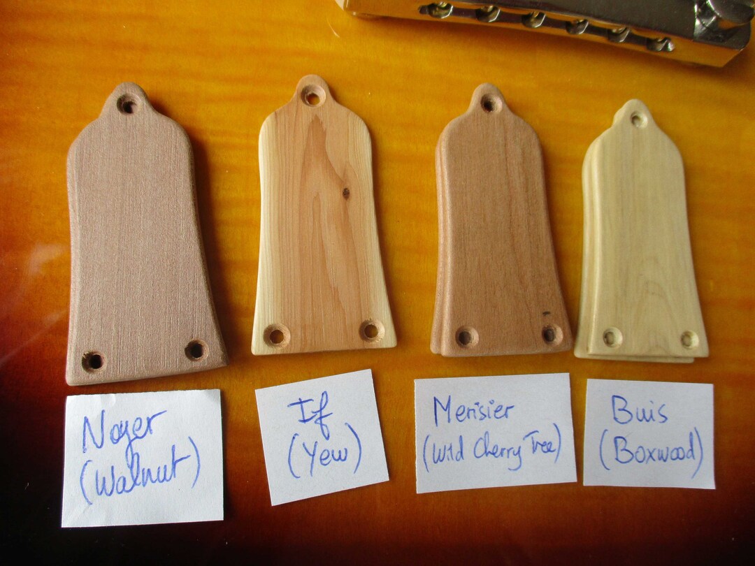 Trussrod Cover / Truss Rod Cover Epiphone SG Customizable in Local Wood ...