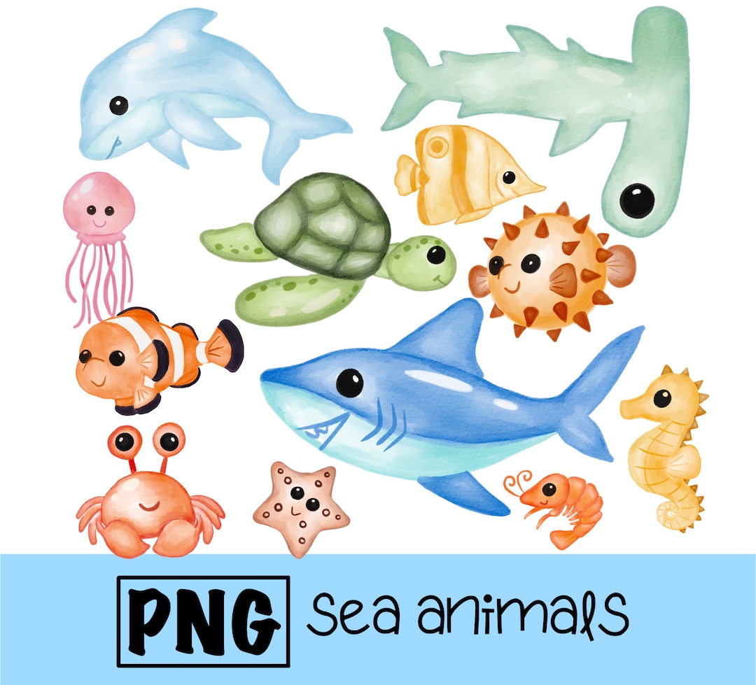 Sea Animal Clipart Ocean Animal Png Dolphin Fish Sticker Digital ...