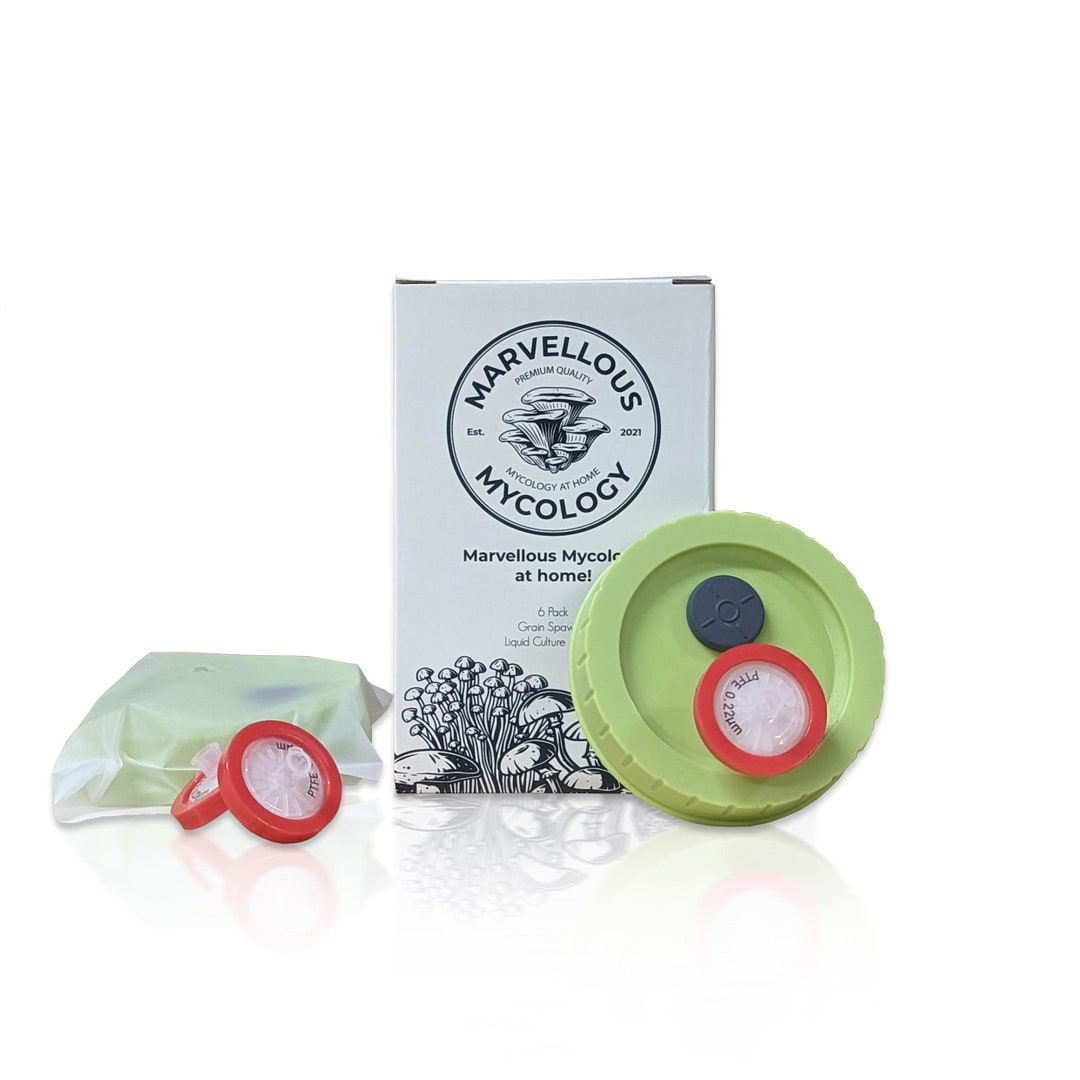 Mycology Jar Lids 6 Pack - Etsy