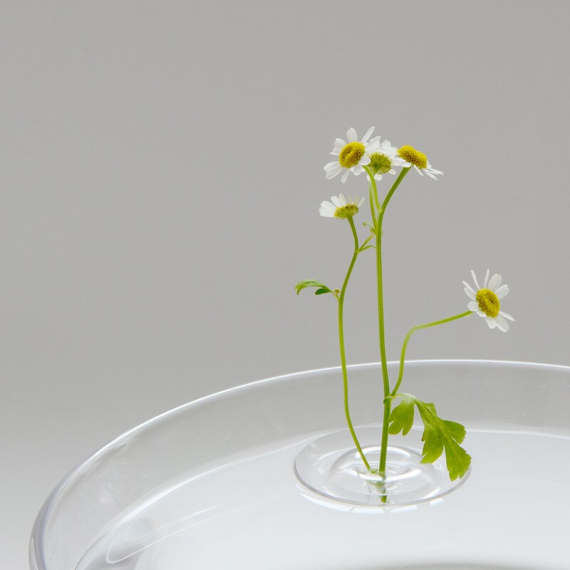 Floating Flower Vase - Etsy
