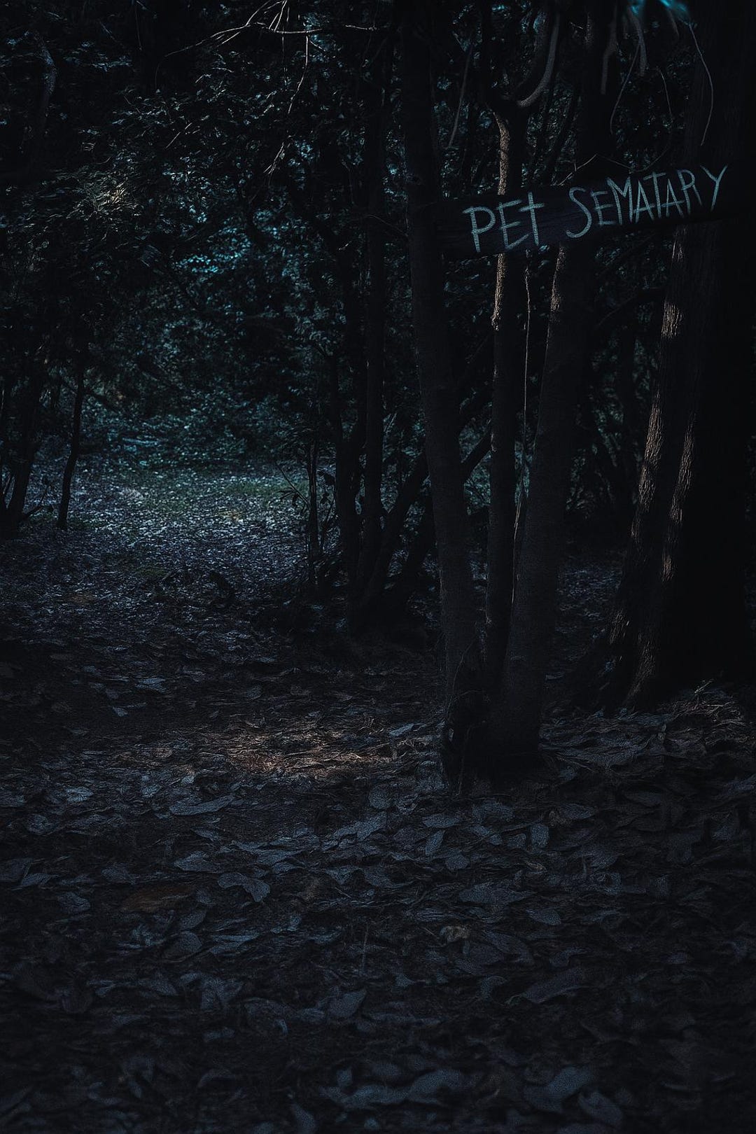 Pet Sematary Sign. Larger Version - Etsy