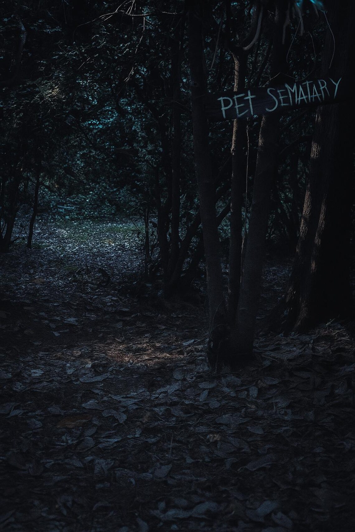 Pet Sematary Sign. Larger Version - Etsy