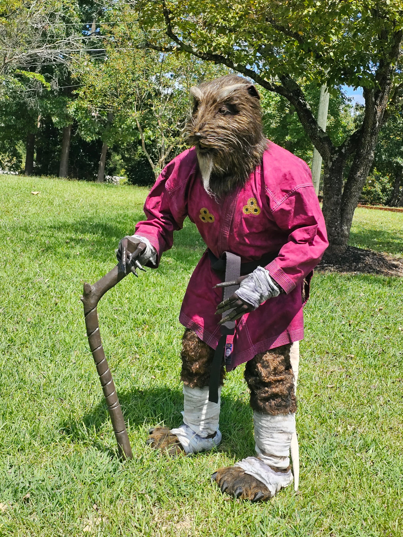 Master Splinter Cosplay - Etsy