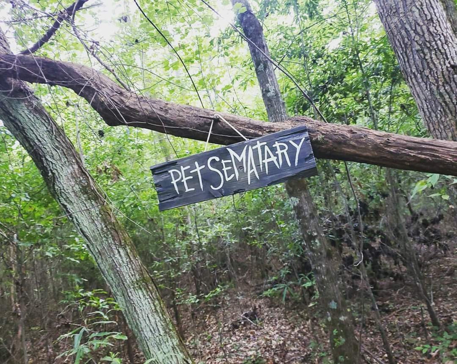 Pet Sematary Sign. Larger Version - Etsy