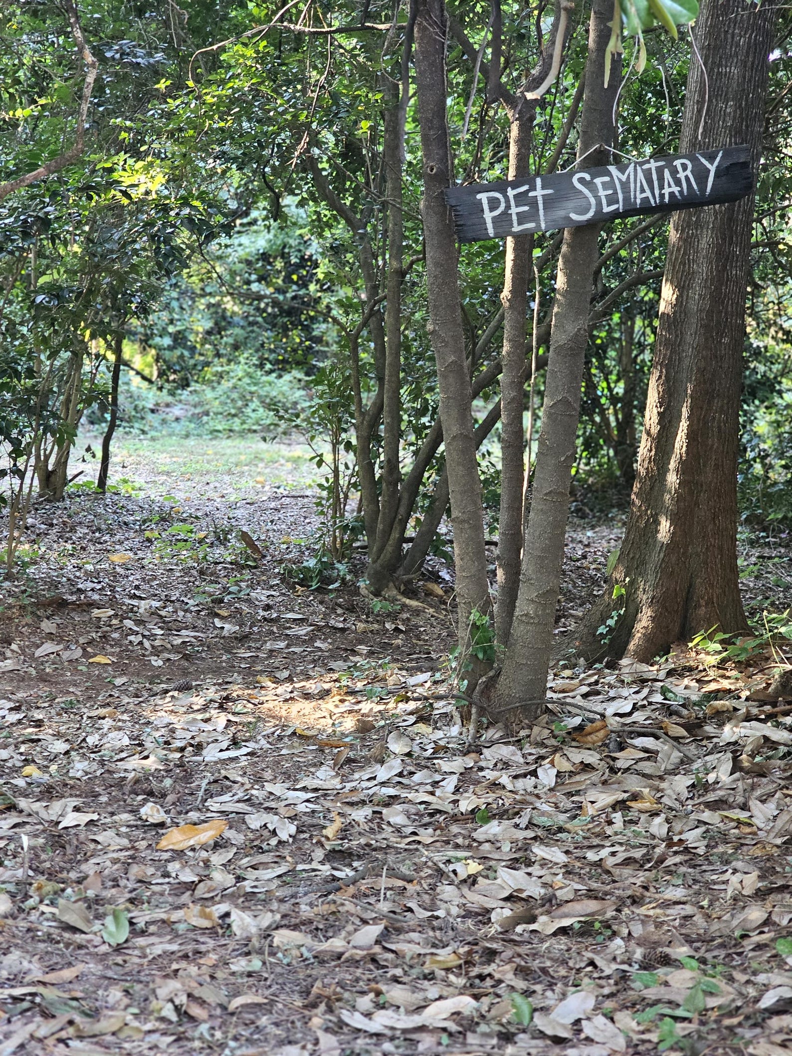 Pet Sematary Sign. Larger Version - Etsy