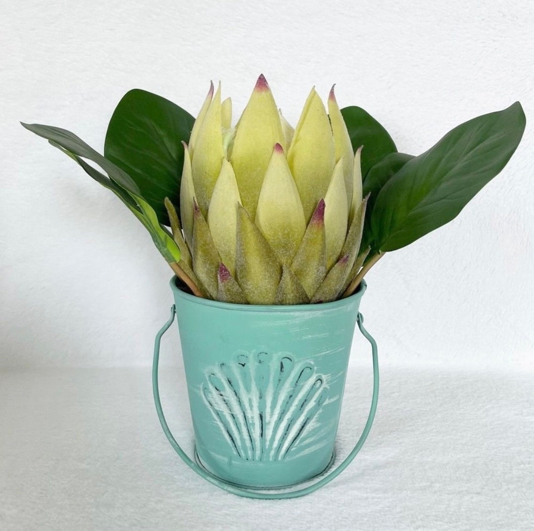 Handmade Faux King Protea Arrangement: Seashell Bucket Beach Decor - Etsy