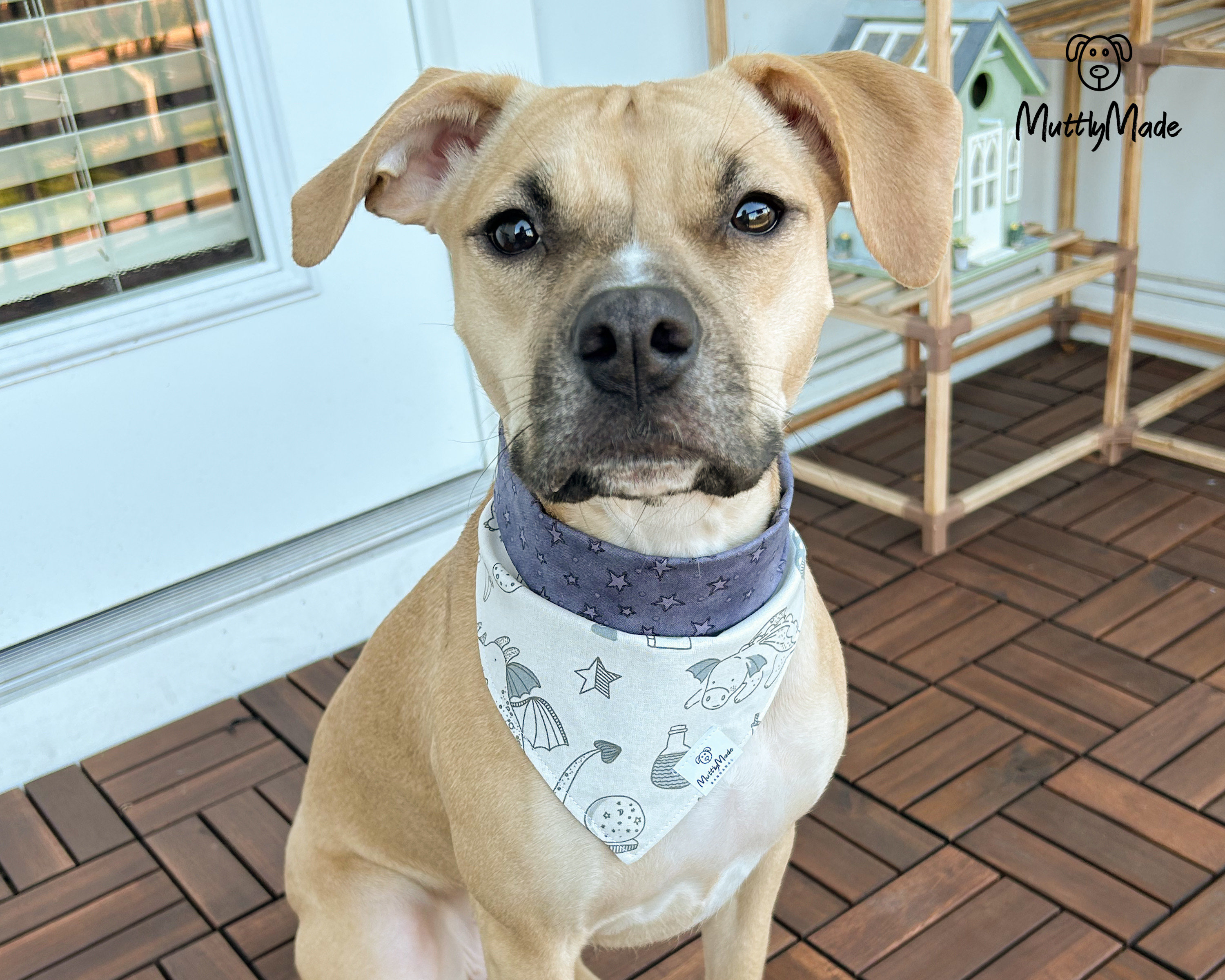 Dragon Tails Bandana - Reversible - Snap Closure - Dog Bandana - Cat ...