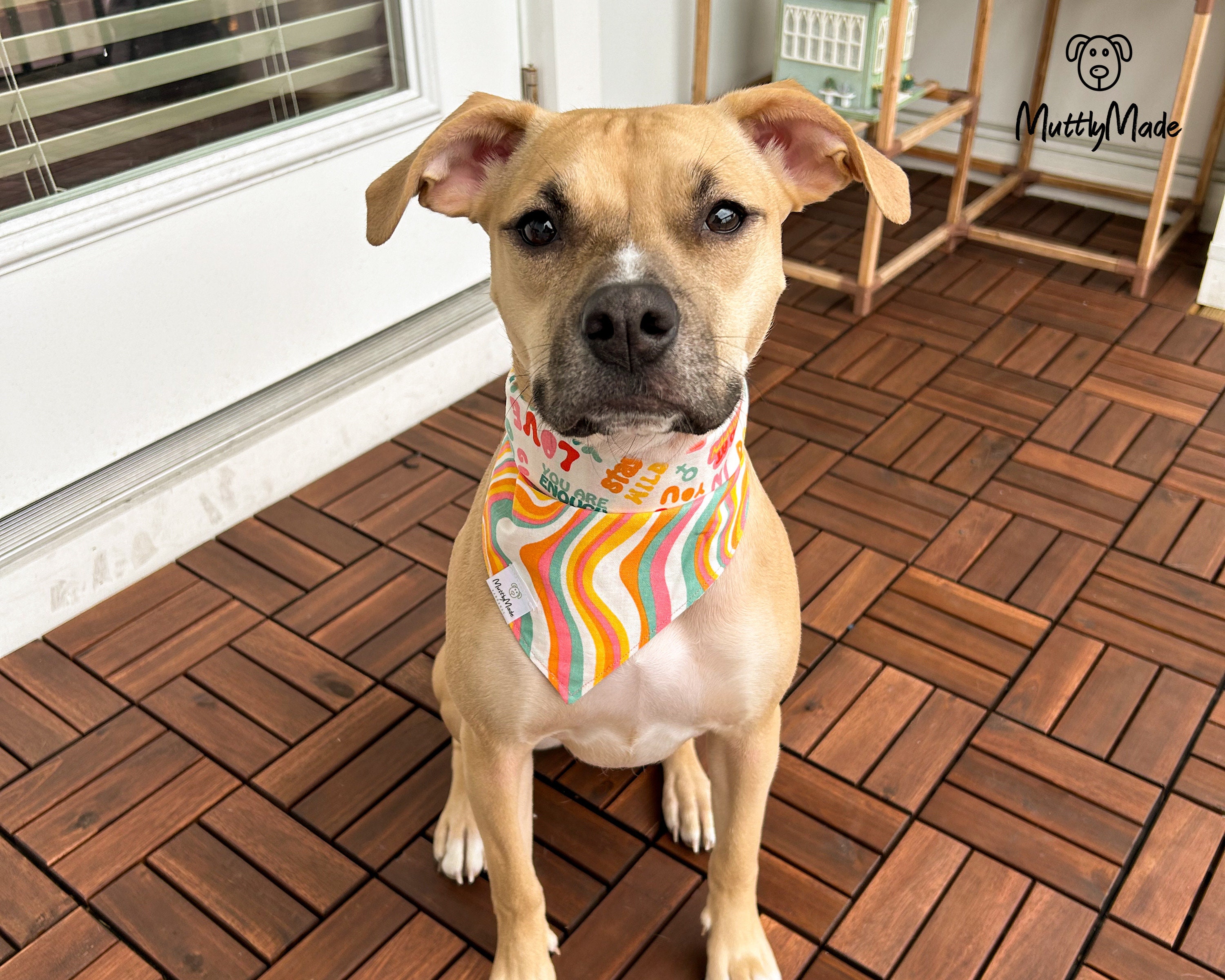 Retro Ruff Revival Bandana Reversible Snap Closure Dog Bandana Cat ...