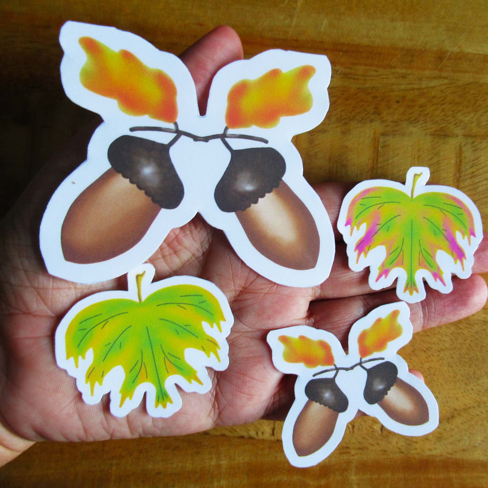 Acorn Sticker Fall Stickers Leaf Stickers - Etsy