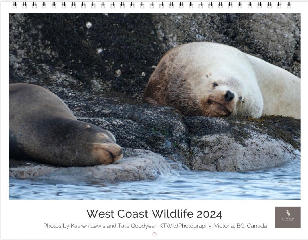 12 Month Wildlife Wall Calendar 2024, 8.5x11, Spiral Bound, Featuring ...