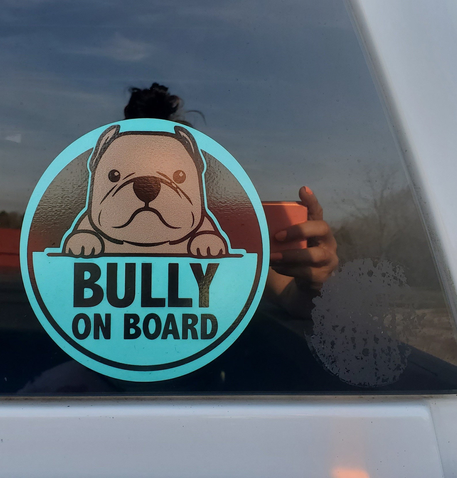 Bully on Board Car Decal, American Bully Owner Gift, Dog Mom Gift ...