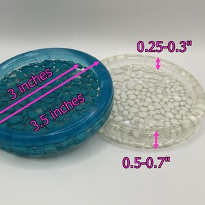 Axolotl / Shrimp Feeding Dish - Etsy