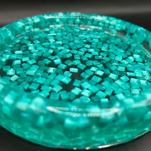 Axolotl / Shrimp Feeding Dish - Etsy