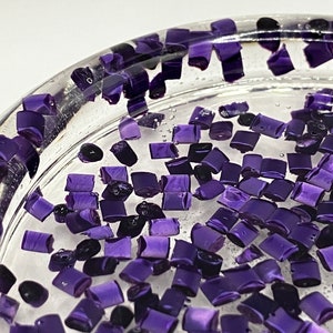 Axolotl / Shrimp Feeding Dish - Etsy