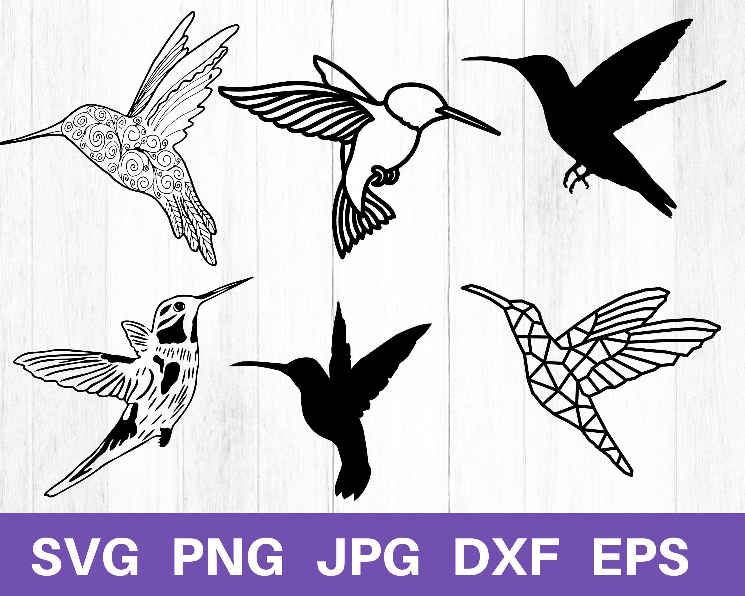 Colibrí Svg imágenes prediseñadas de colibrí vector de - Etsy México