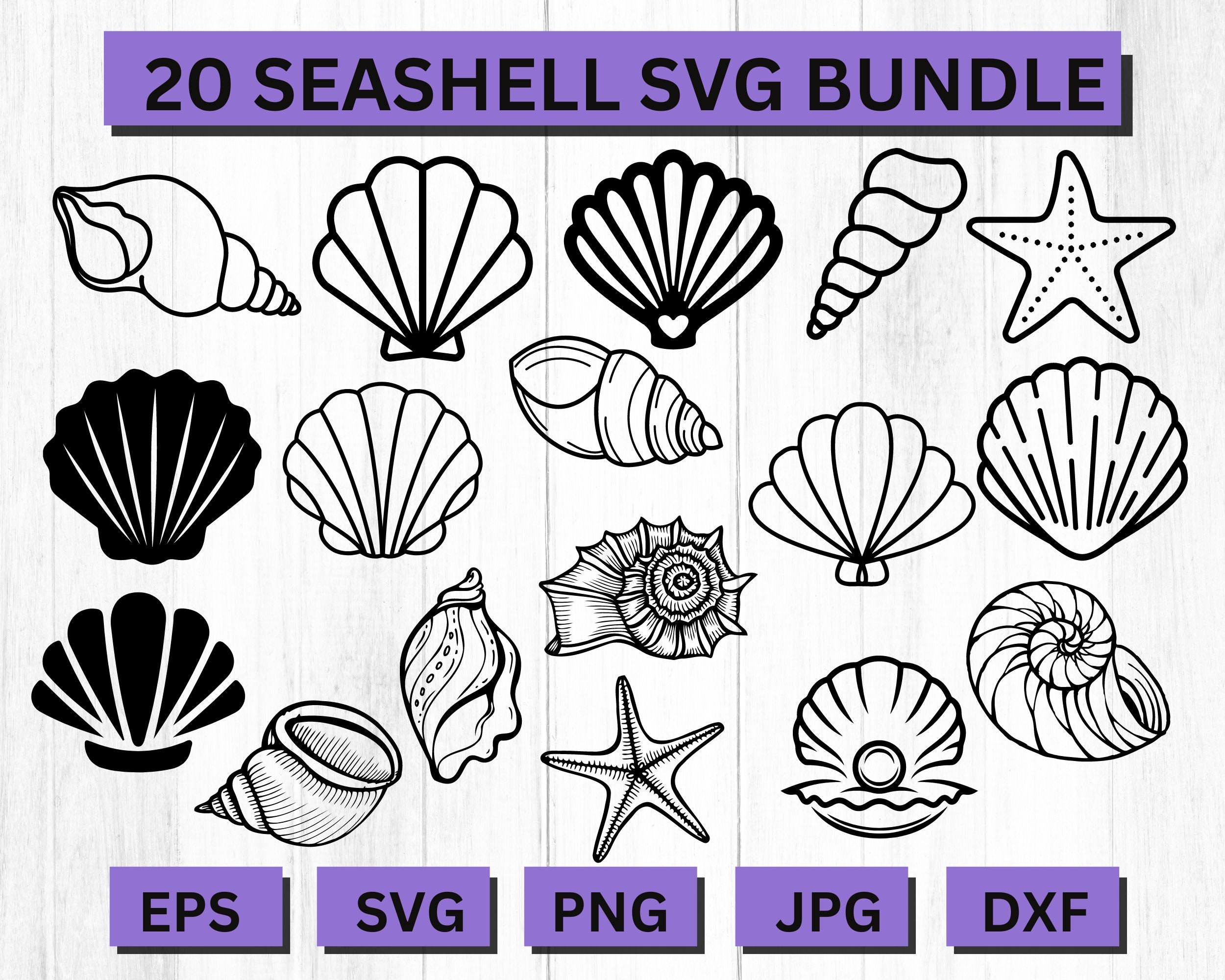 Seashell Svg Beach Svg Sea Shell Svg Seashell Clipart - Etsy UK