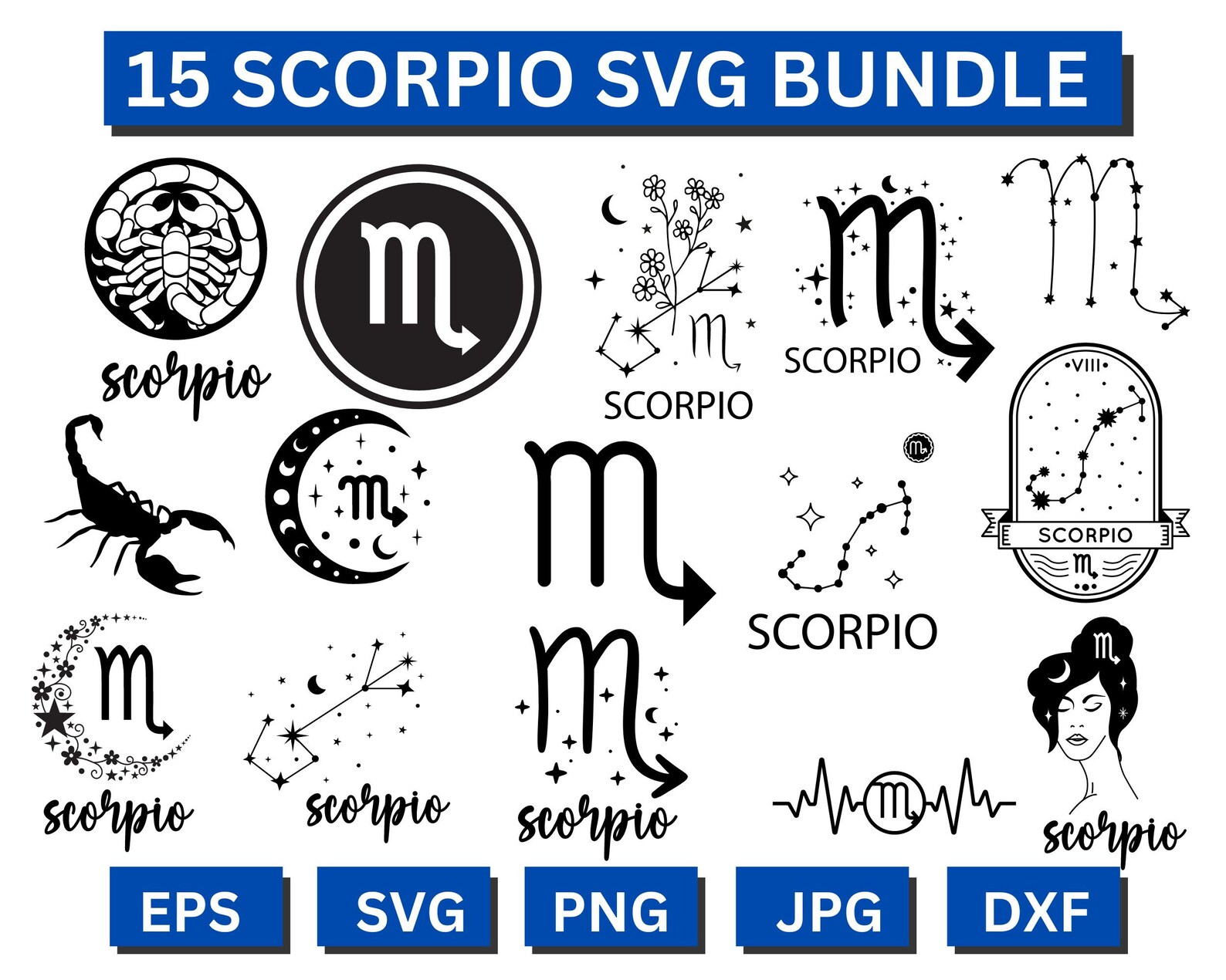 Scorpio Svg, Scorpio Png, Scorpio, Scorpio Shirt, Scorpion Svg, Scorpio ...