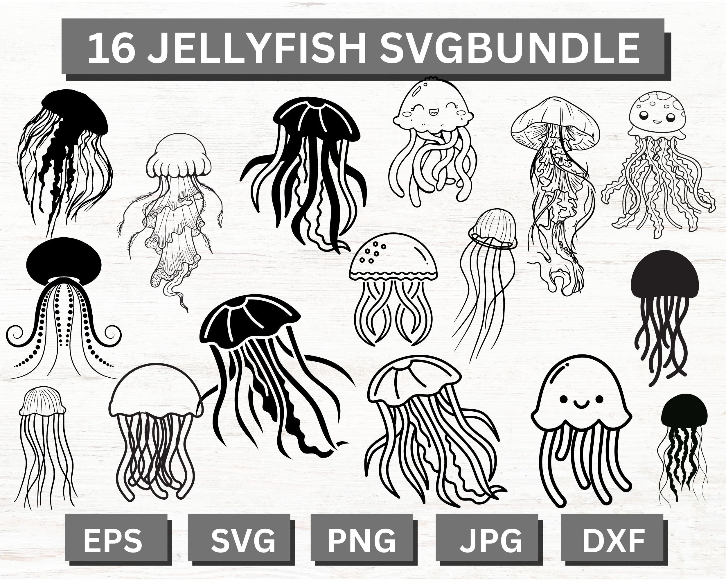 Jelly Fish Clipart Black And White