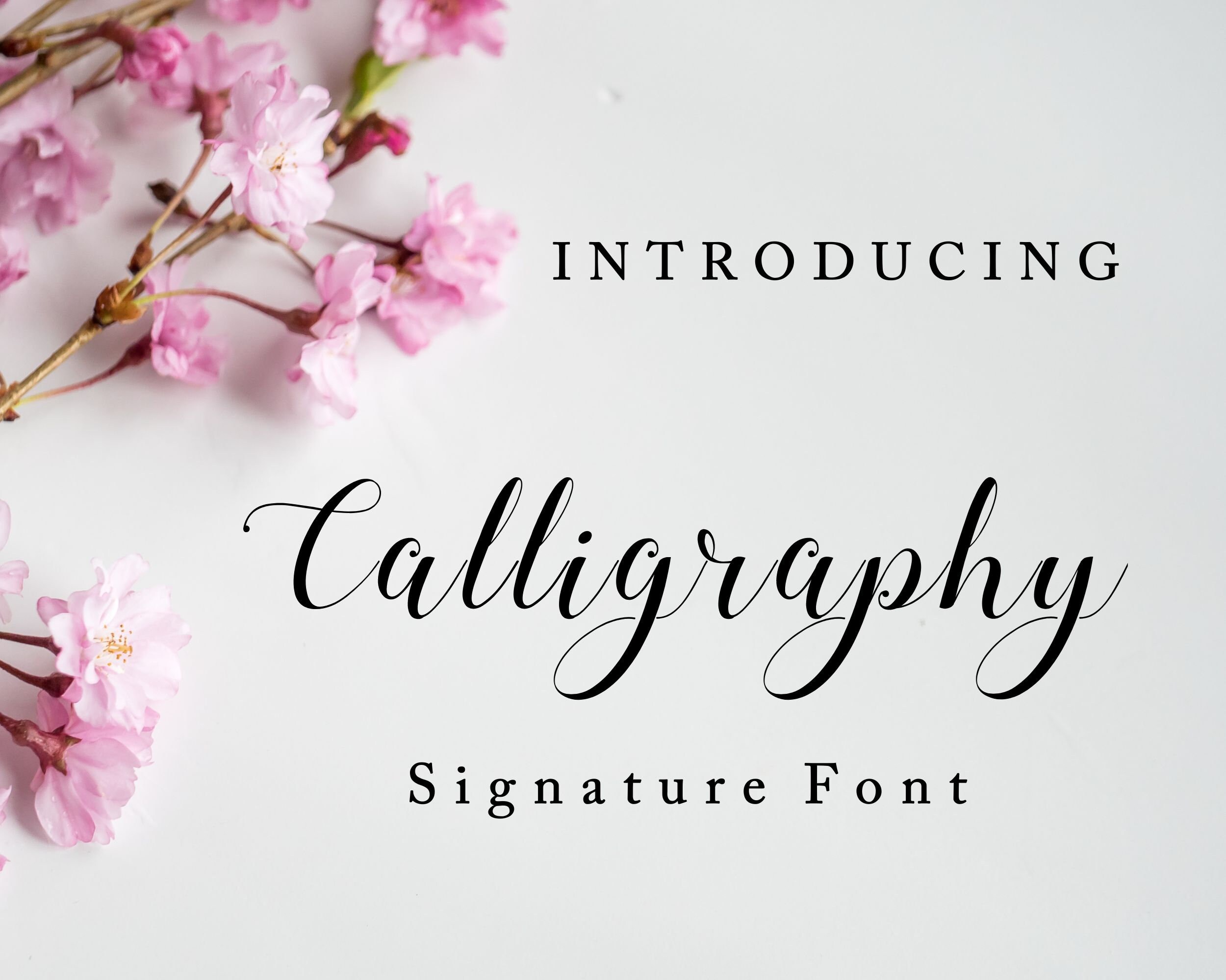 Calligraphy Font, Script Font, Calligraphy Png, Handwritten Font ...