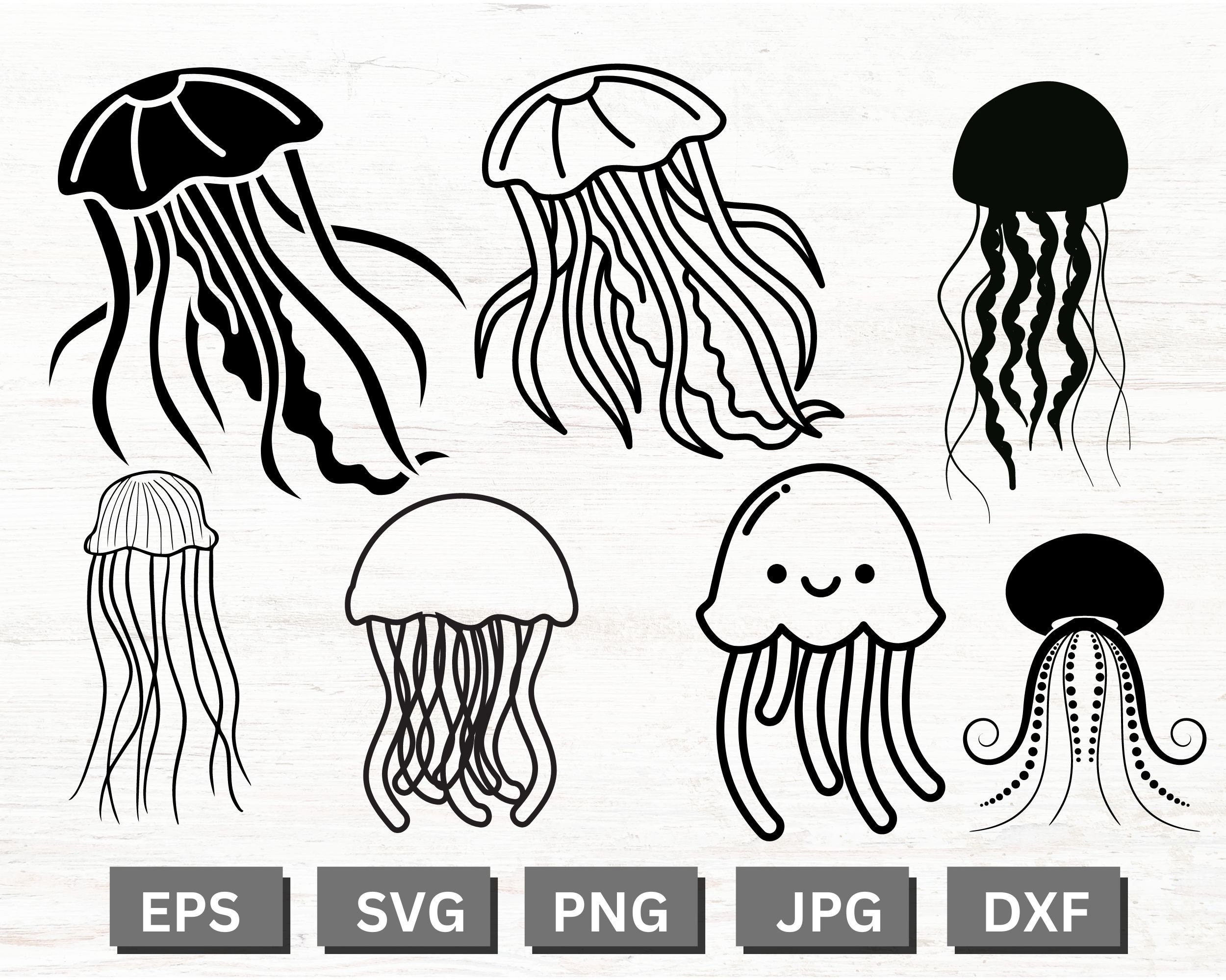 Jellyfish Svg, Jellyfish, Jellyfish Clipart, Jelly Fish Svg, Sea ...