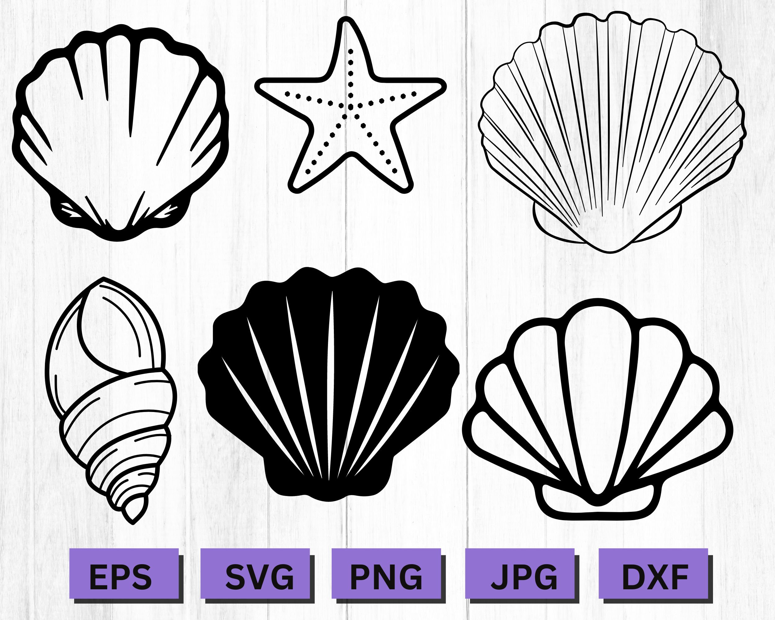 Seashell Svg Beach Svg Sea Shell Svg Seashell Clipart - Etsy UK